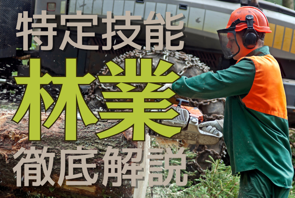 特定技能制度における【建設業】分野について概要から採用の流れまで徹底解説！ – 「Link Asia」外国人採用・定着支援ブログ